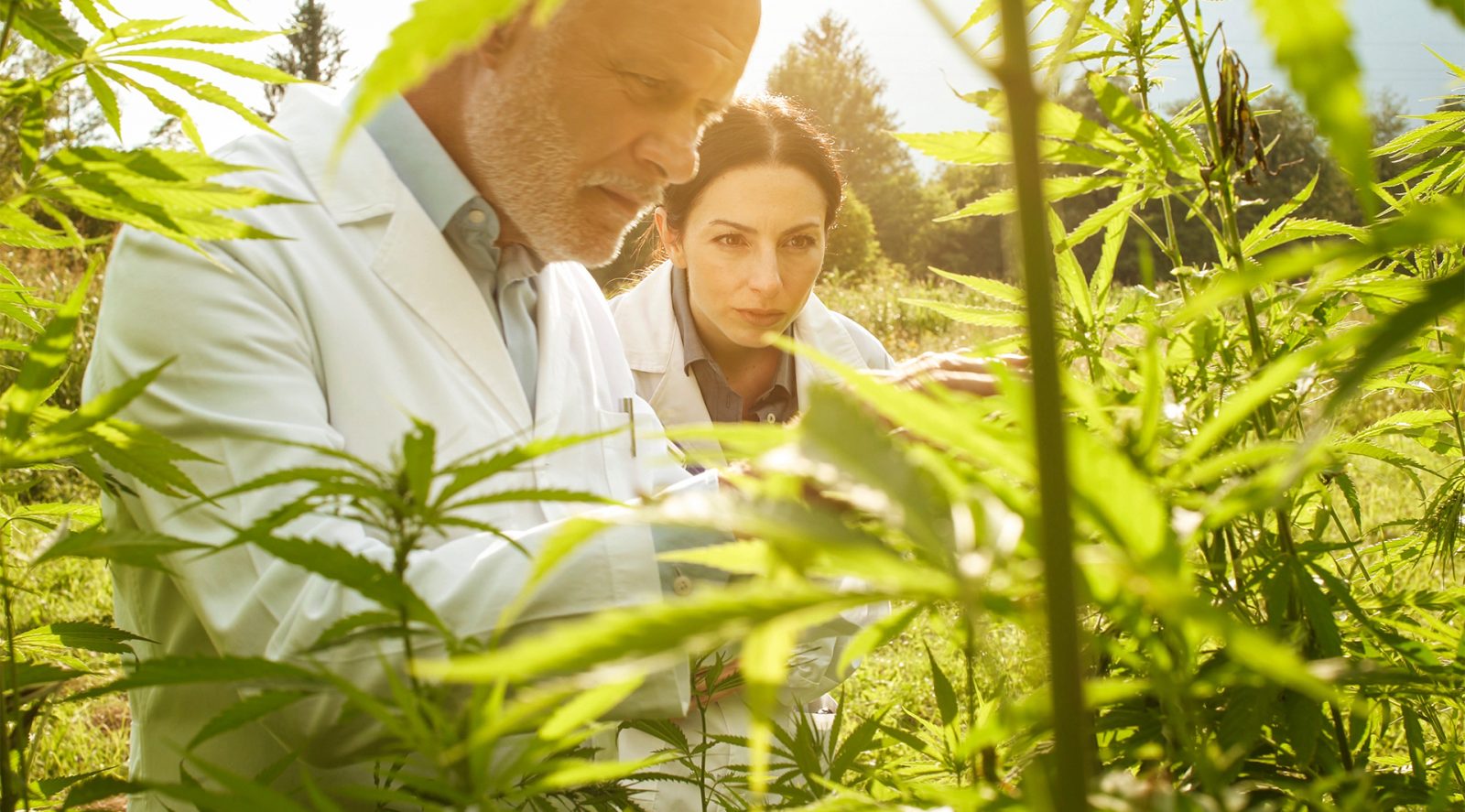 Blog - Green Precision Analytics